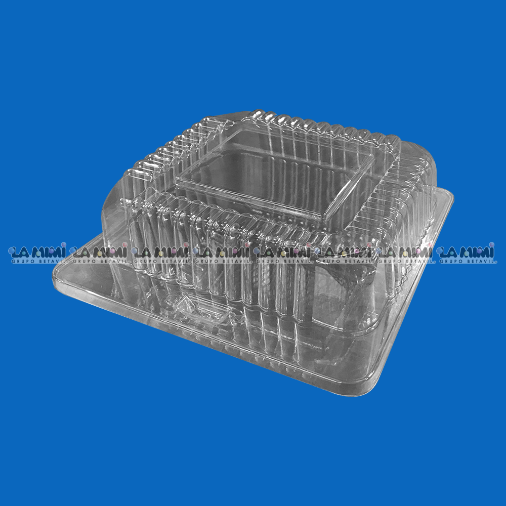 Contenedor Desechable 14x14x9 - INIX – La Mimi